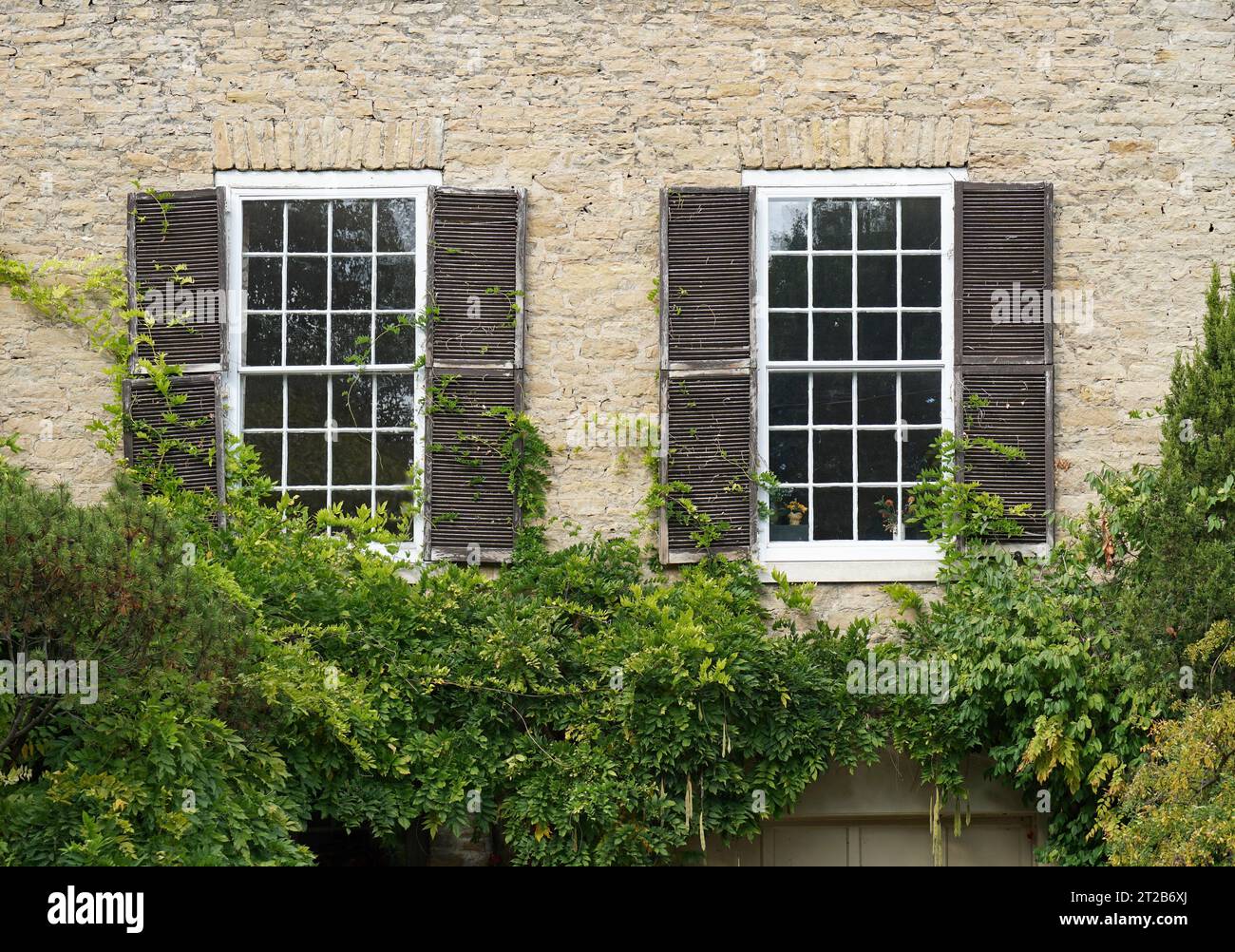 Old house and vines hi-res stock photography and images - Alamy