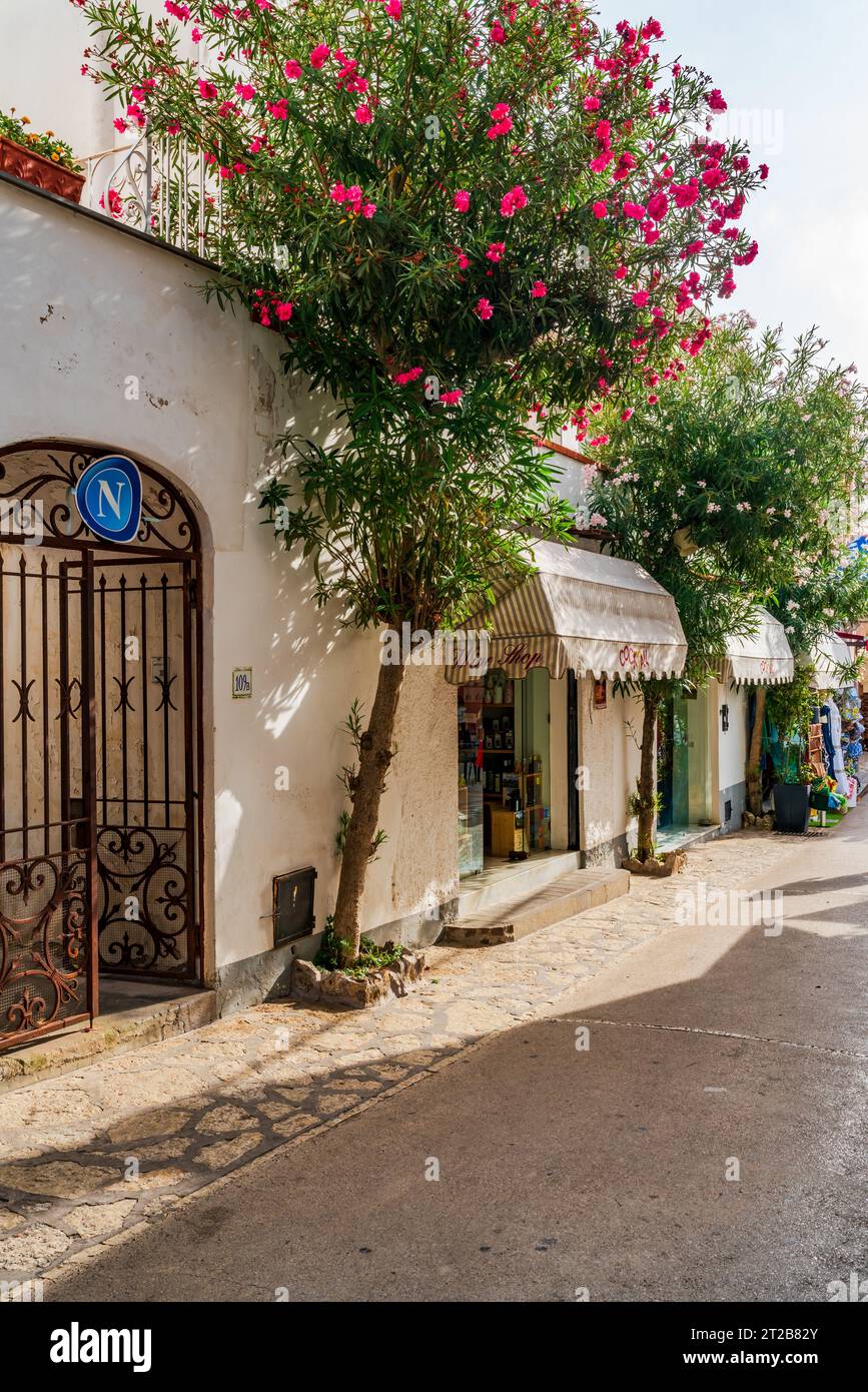 ANACAPRI, CAPRI, ITALY - SEPTEMBER 19, 2023: Anacapri is one of the two ...