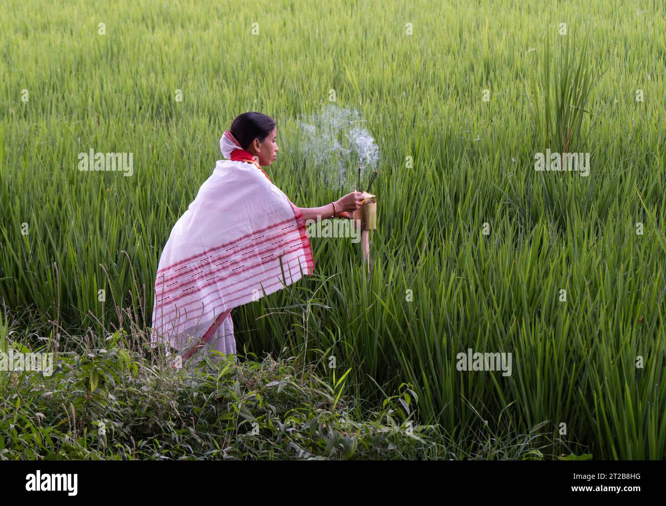October 18, 2023: A Woman light Diya (Oil lamp) and incense sticks as ...