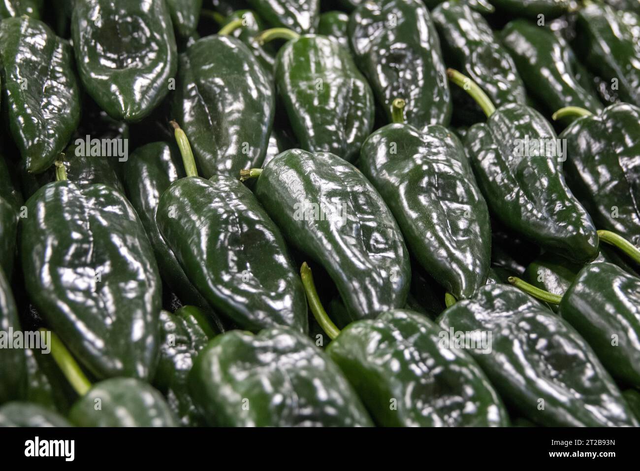 Plobano pepper hi-res stock photography and images - Alamy