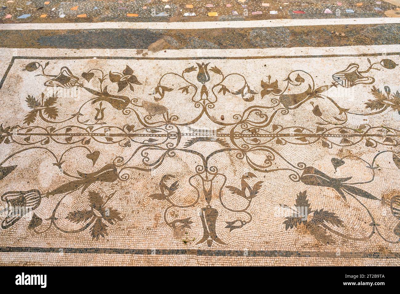 POMPEI ITALY - SEPTEMBER 20 2023: Floor mosaic in ruins of Pompeii city ...