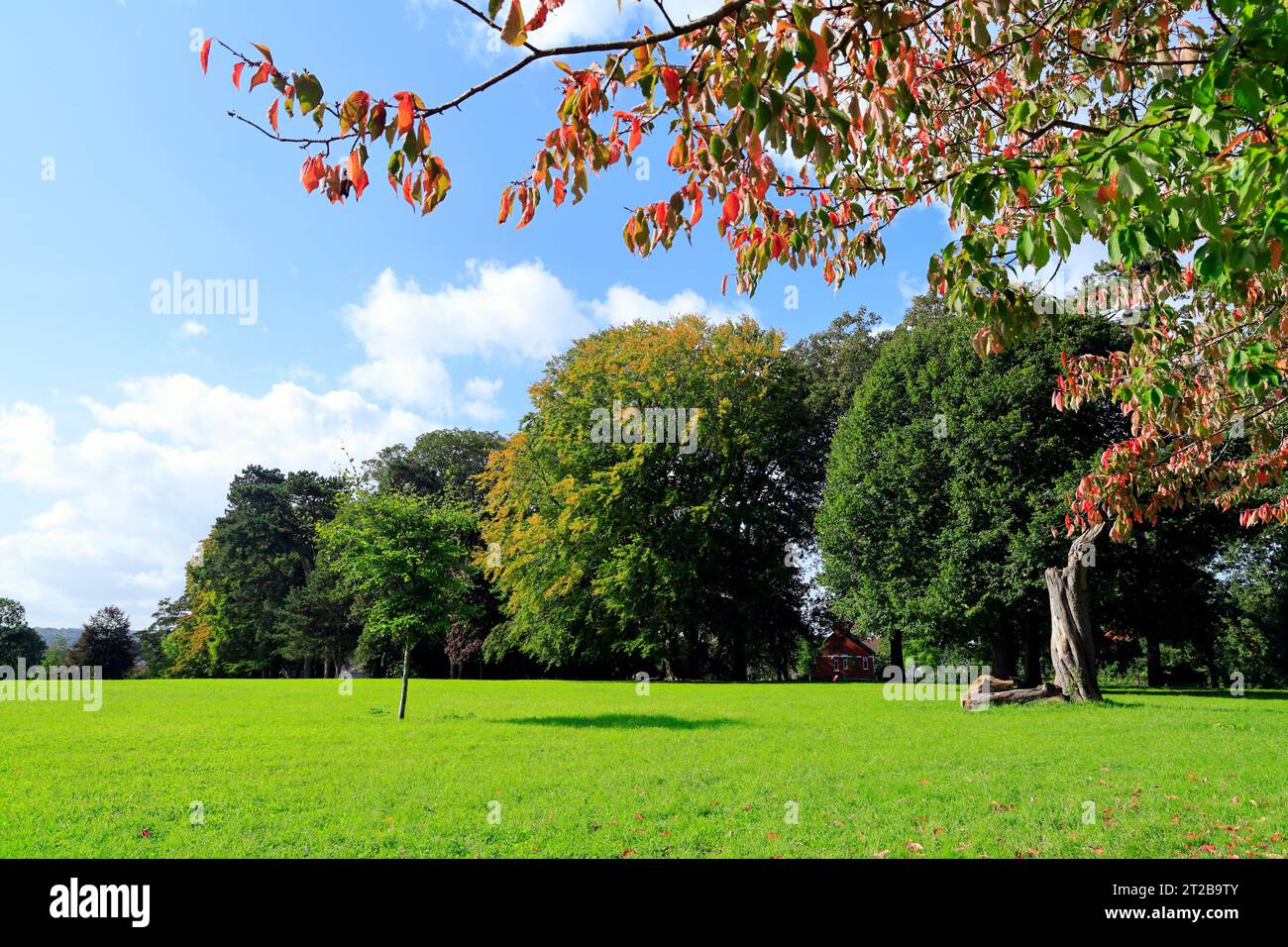 Canton gardens hi-res stock photography and images - Alamy