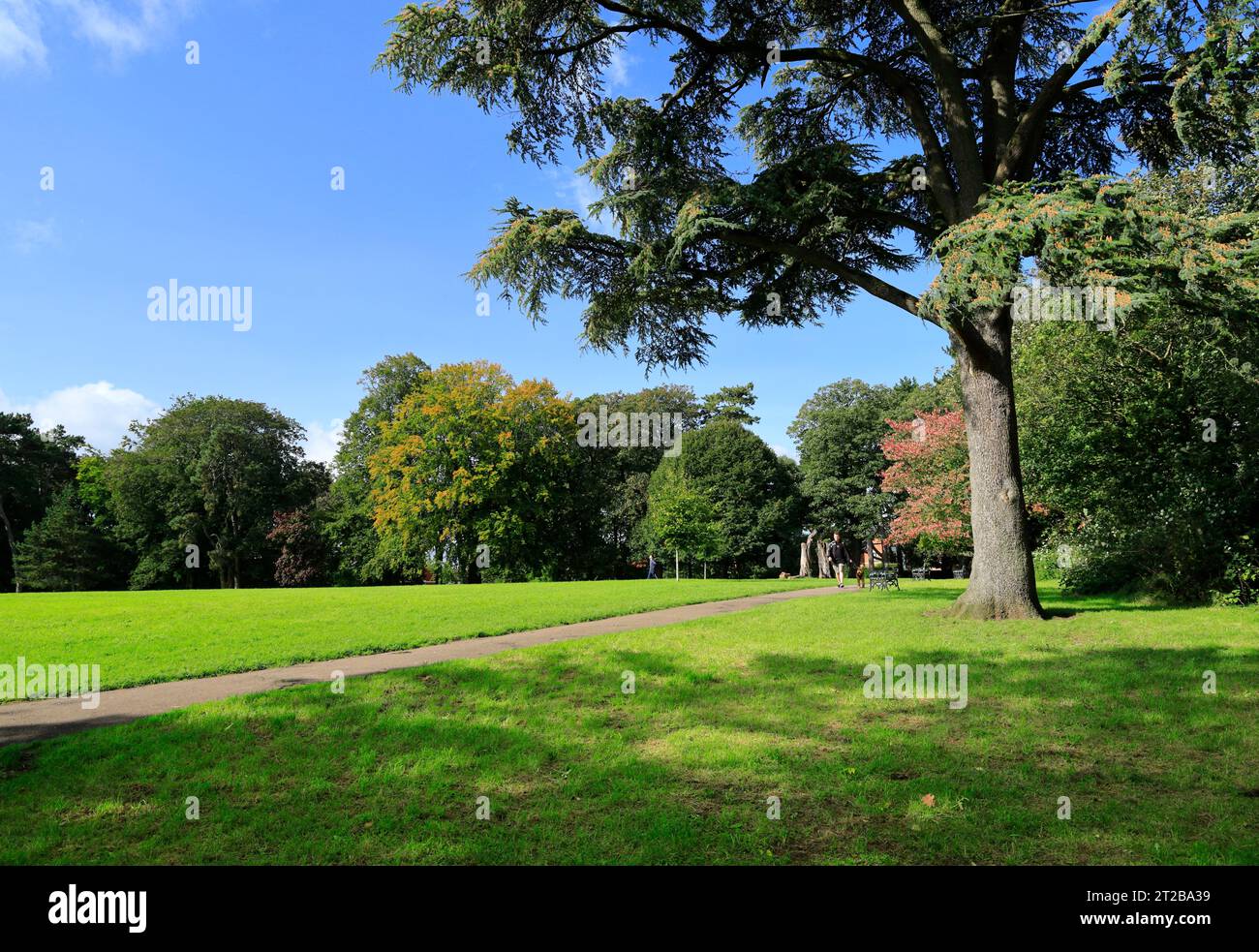 Canton gardens hi-res stock photography and images - Alamy