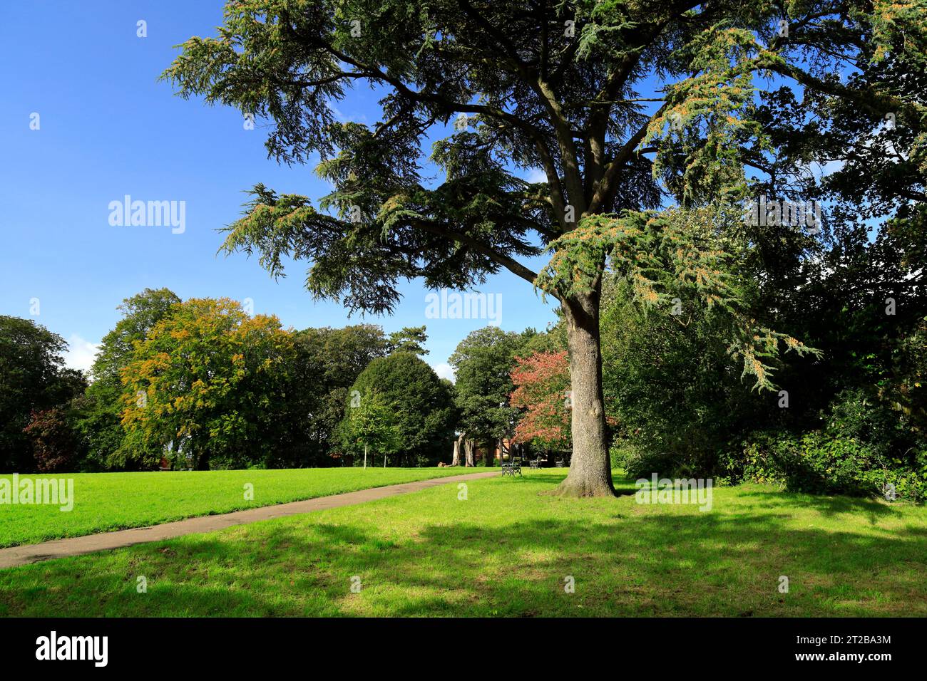 Canton gardens hi-res stock photography and images - Alamy