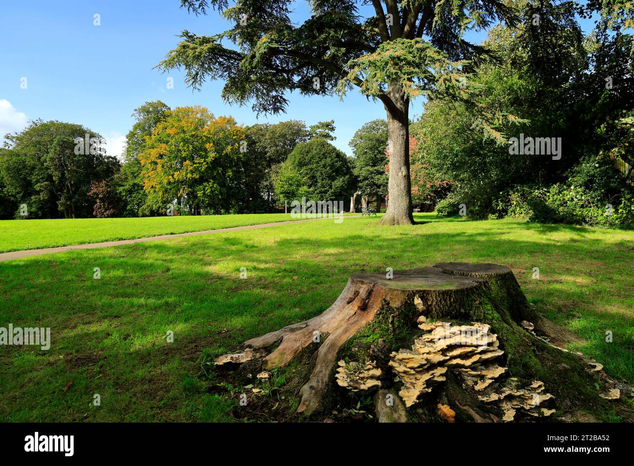 Thompsons Park, Canton, Cardiff Stock Photo - Alamy