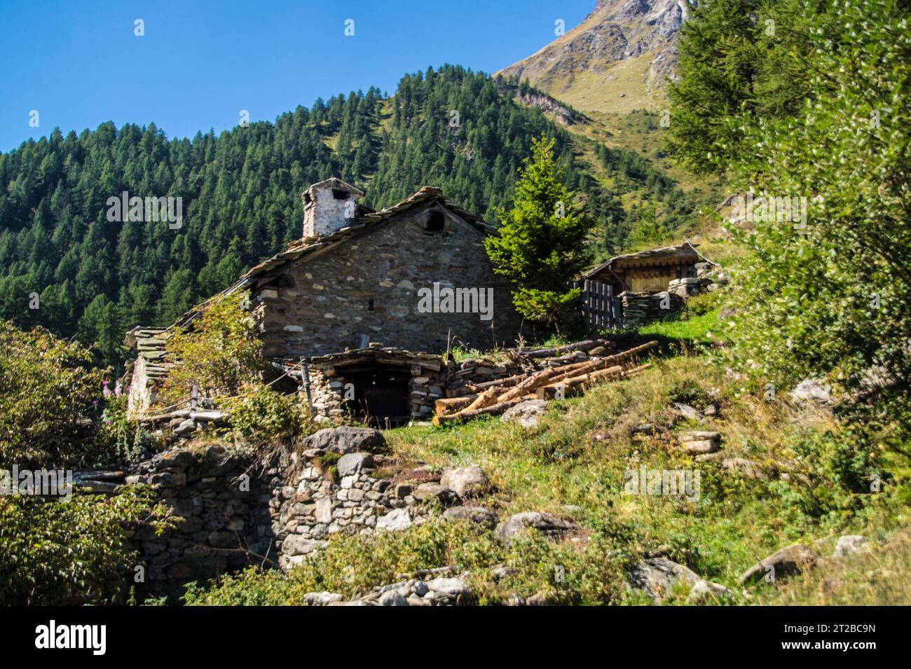 Val de rheme hi-res stock photography and images - Alamy