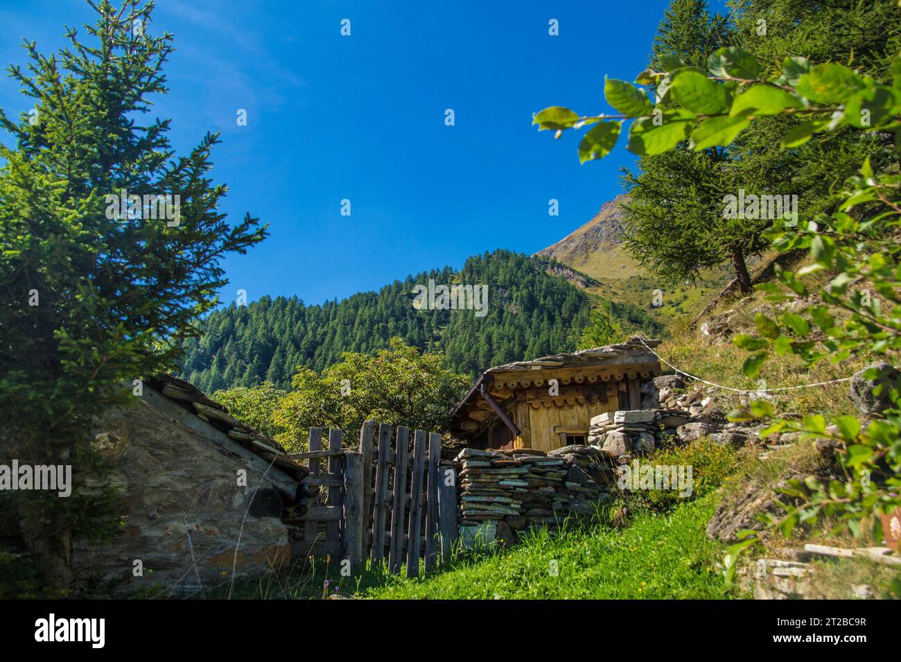 Val de rheme hi-res stock photography and images - Alamy