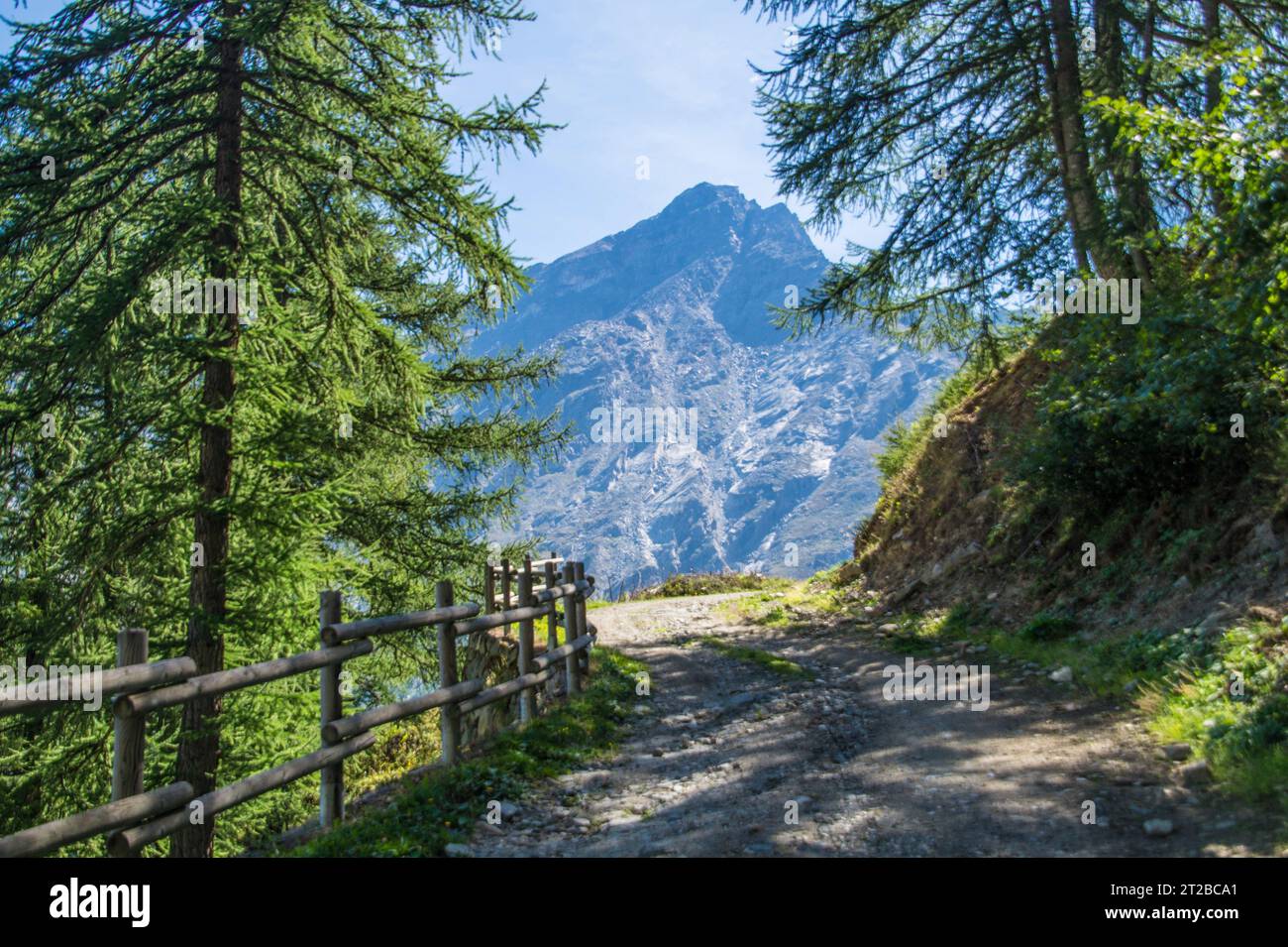 Val de rheme hi-res stock photography and images - Alamy