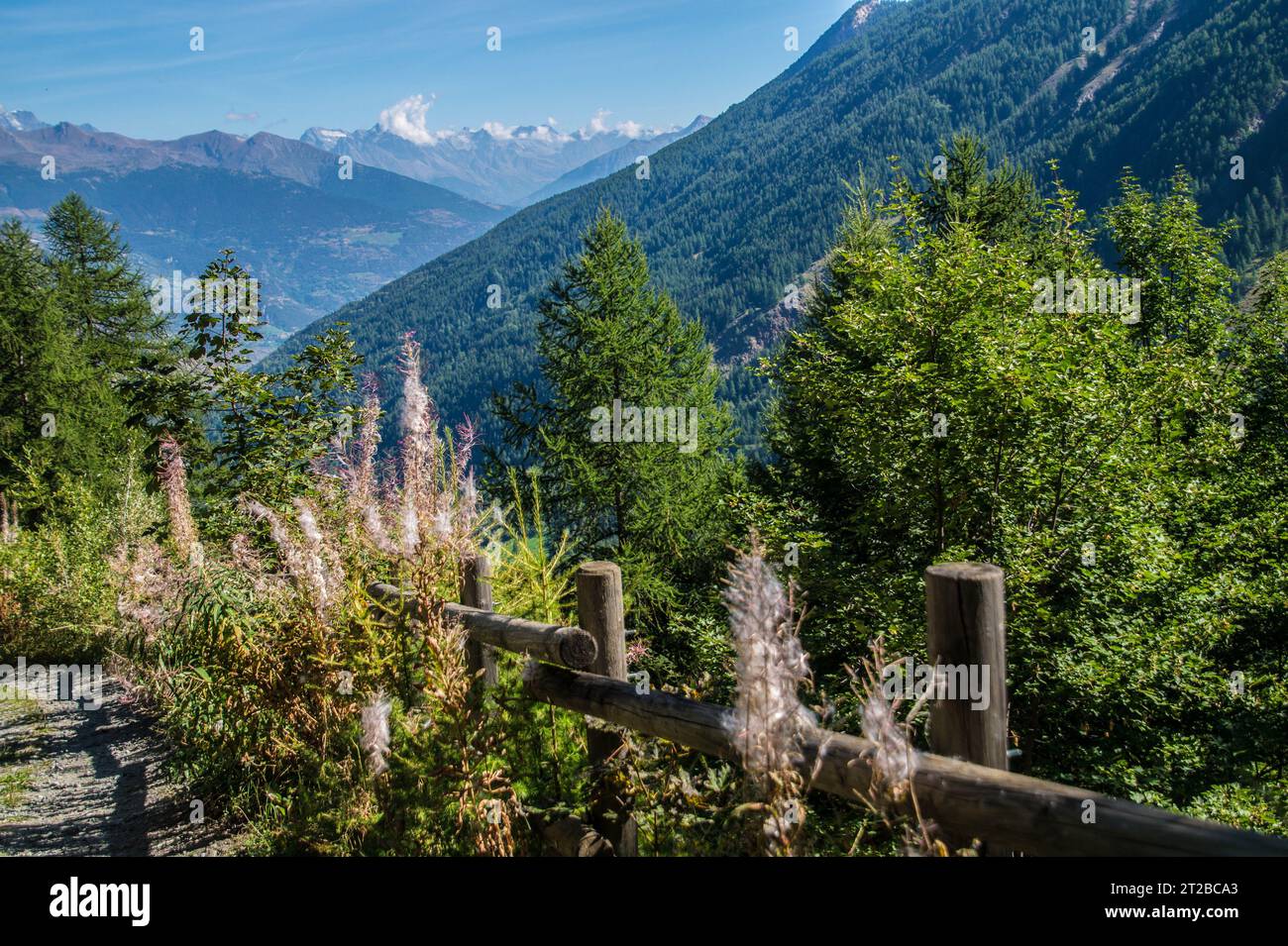 Val de rheme hi-res stock photography and images - Alamy