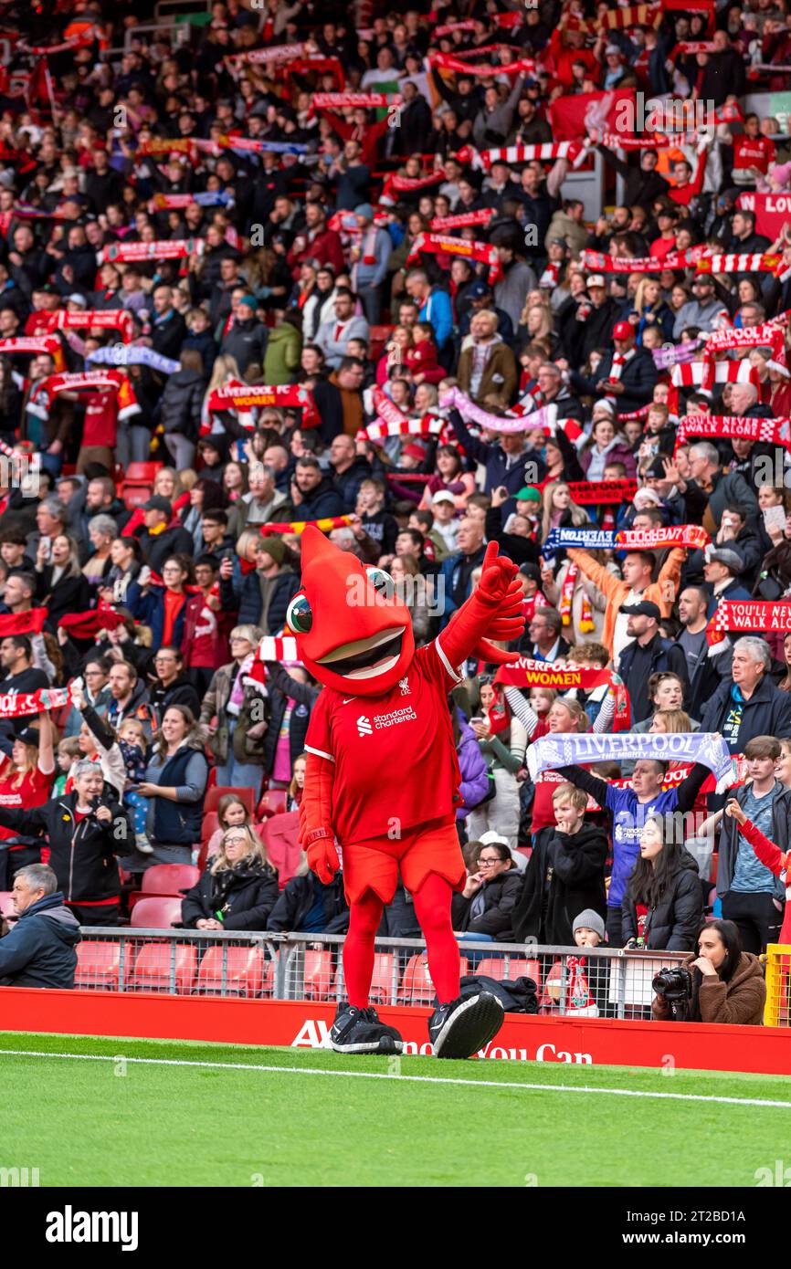 Mighty red mascot of liverpool fc hi-res stock photography and images ...