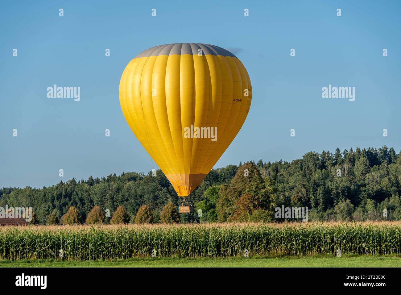 Bavaria, Germany. 23rd Sep, 2023. A hot air balloon lands in a meadow ...
