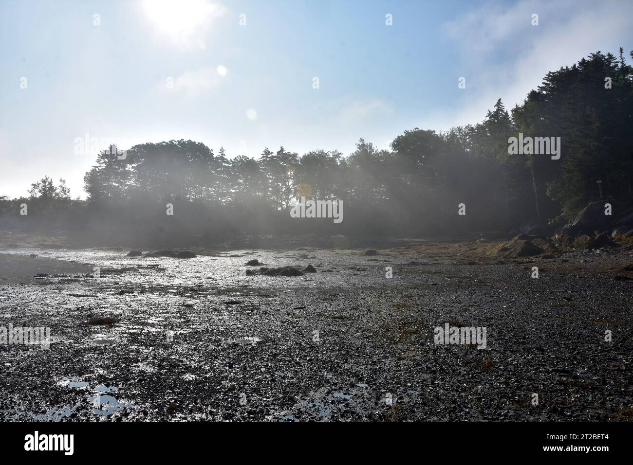 Low tide with a muddy beach and a fog hovering over the island Stock ...