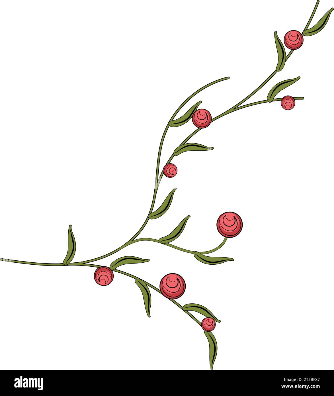 Colored sketch of natural leaves branch Vector Stock Vector Image & Art ...