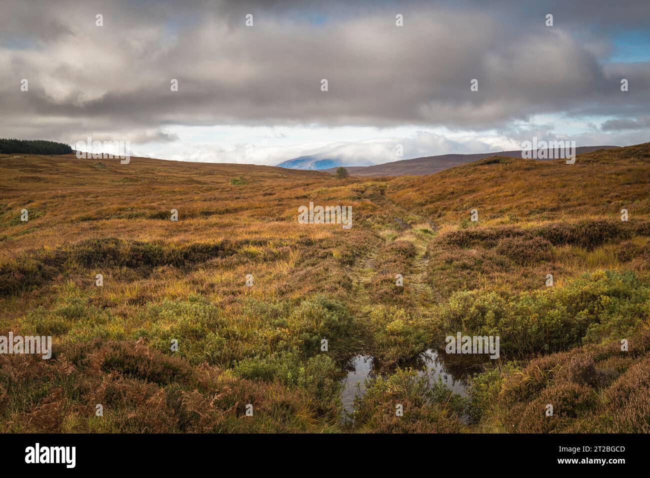A autumnal HDR image of a stalking track in the landscape of Sutherland ...