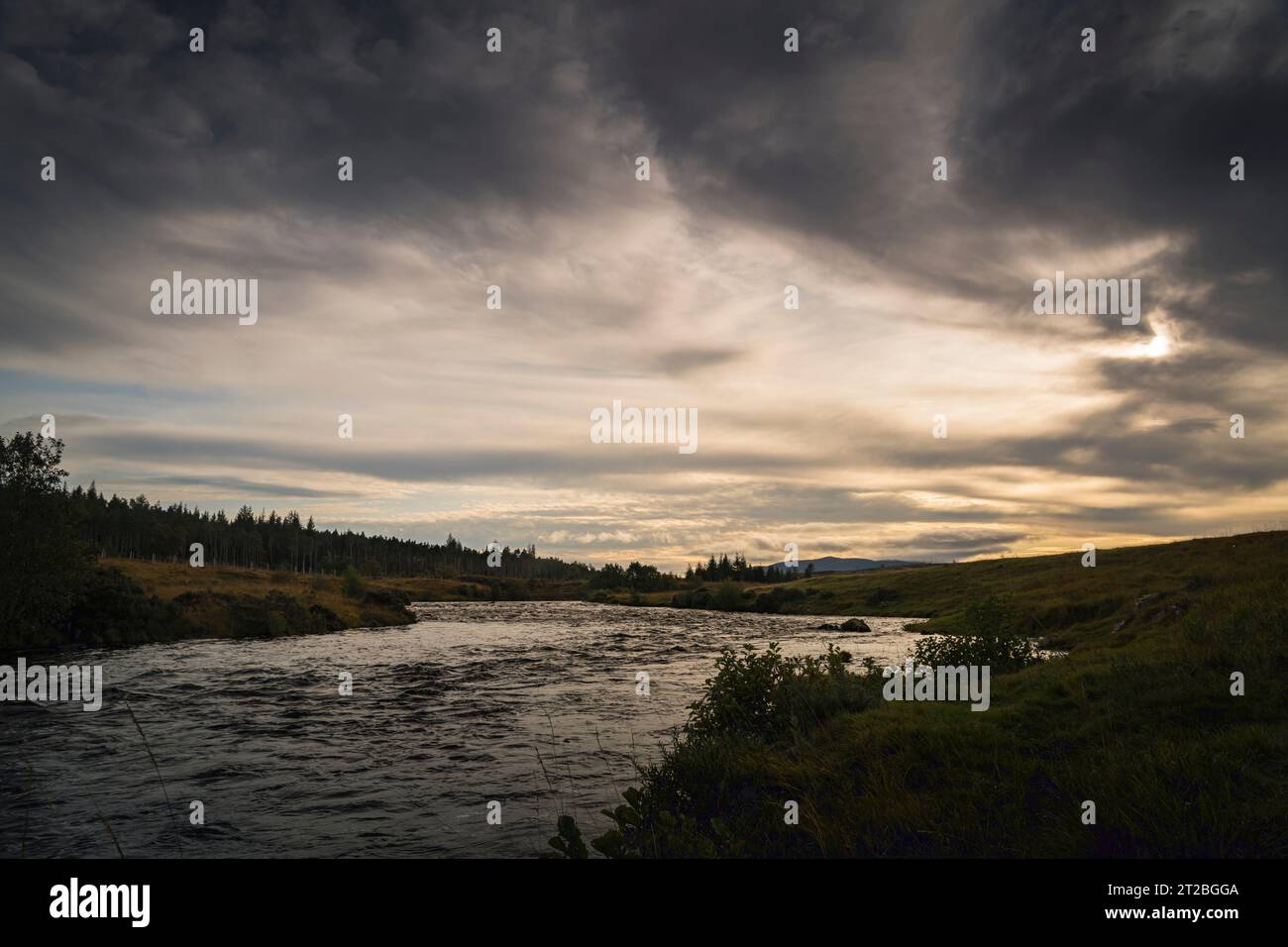 Naver forest hi-res stock photography and images - Alamy