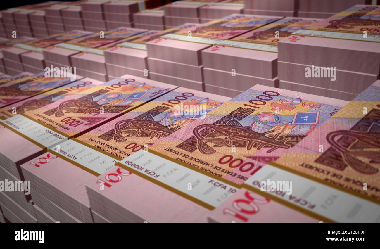 West African CFA money Franc Niger Mali Senegal Africa pack 3d ...