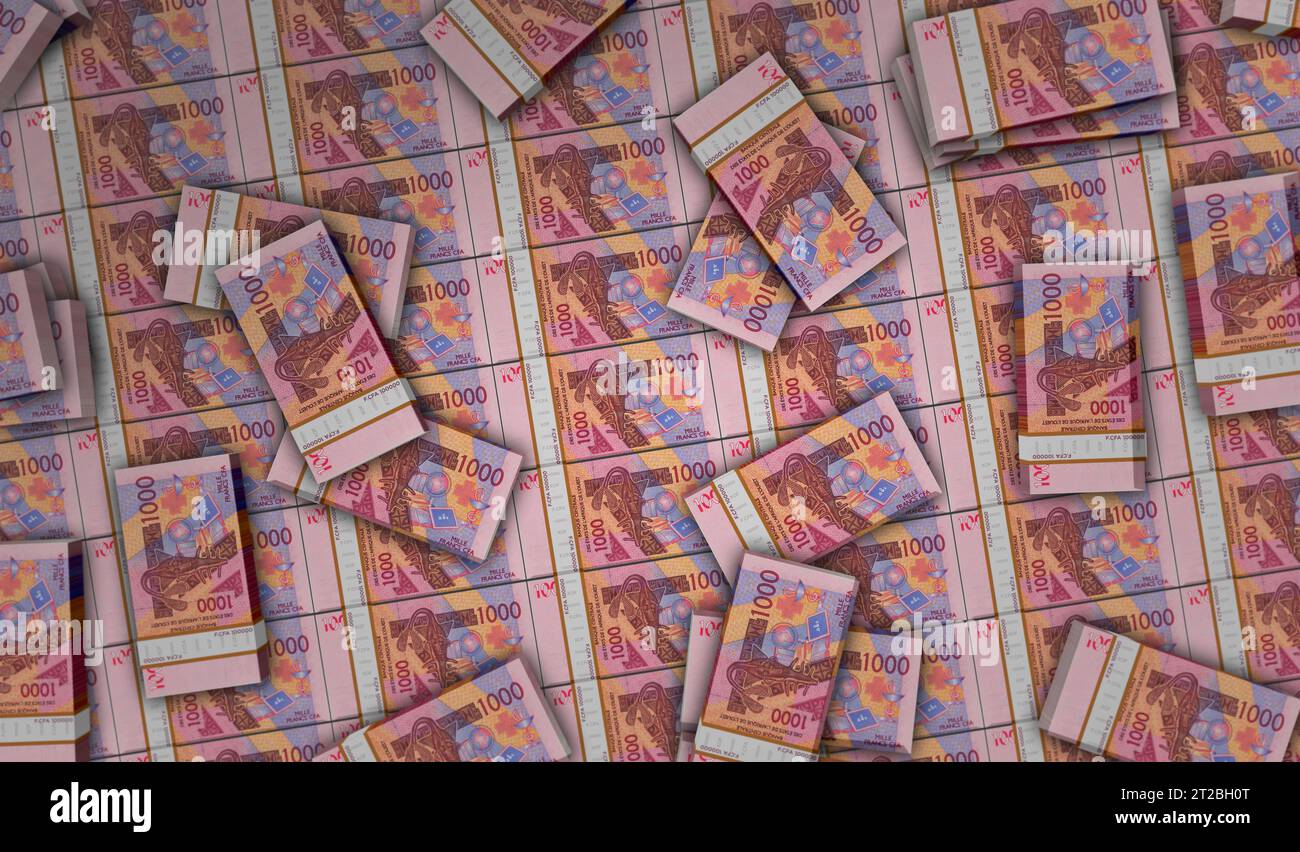 West African CFA money Franc Niger Mali Senegal Africa pack 3d ...