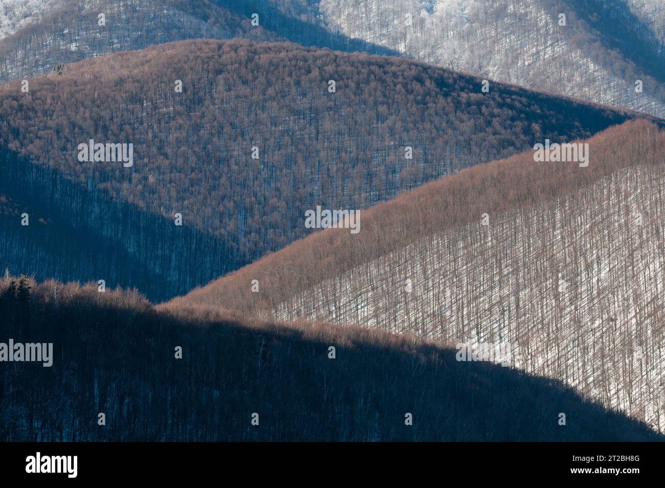 Ukraine nature landscape hi-res stock photography and images - Alamy