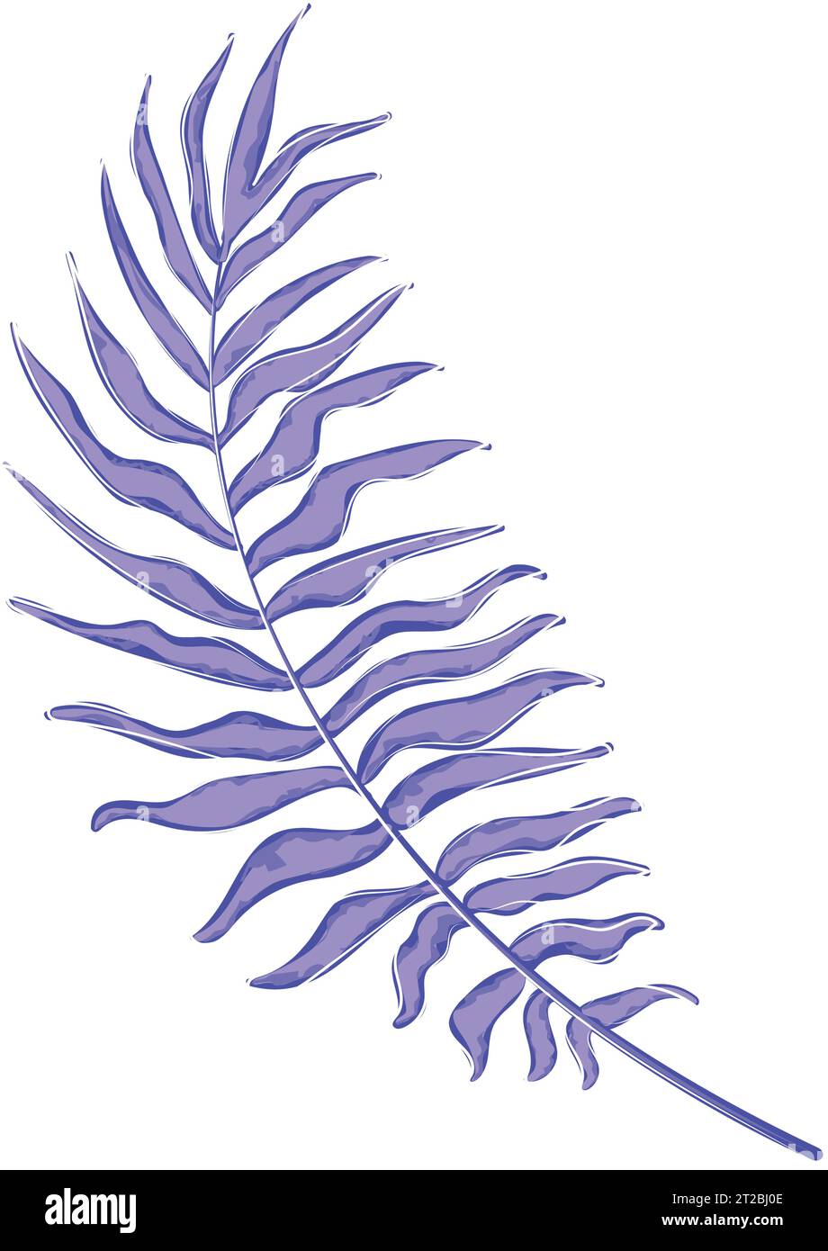 Isolated detailed colored leaf Vector Stock Vector Image & Art - Alamy