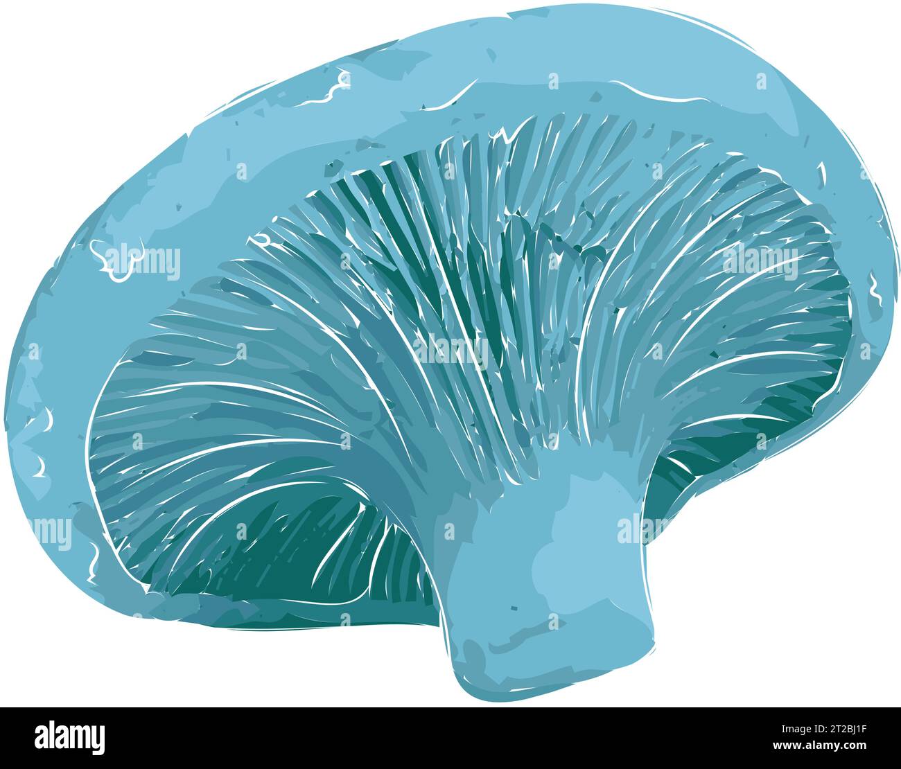 Isolated colored detailed mushroom Vector Stock Vector Image & Art - Alamy