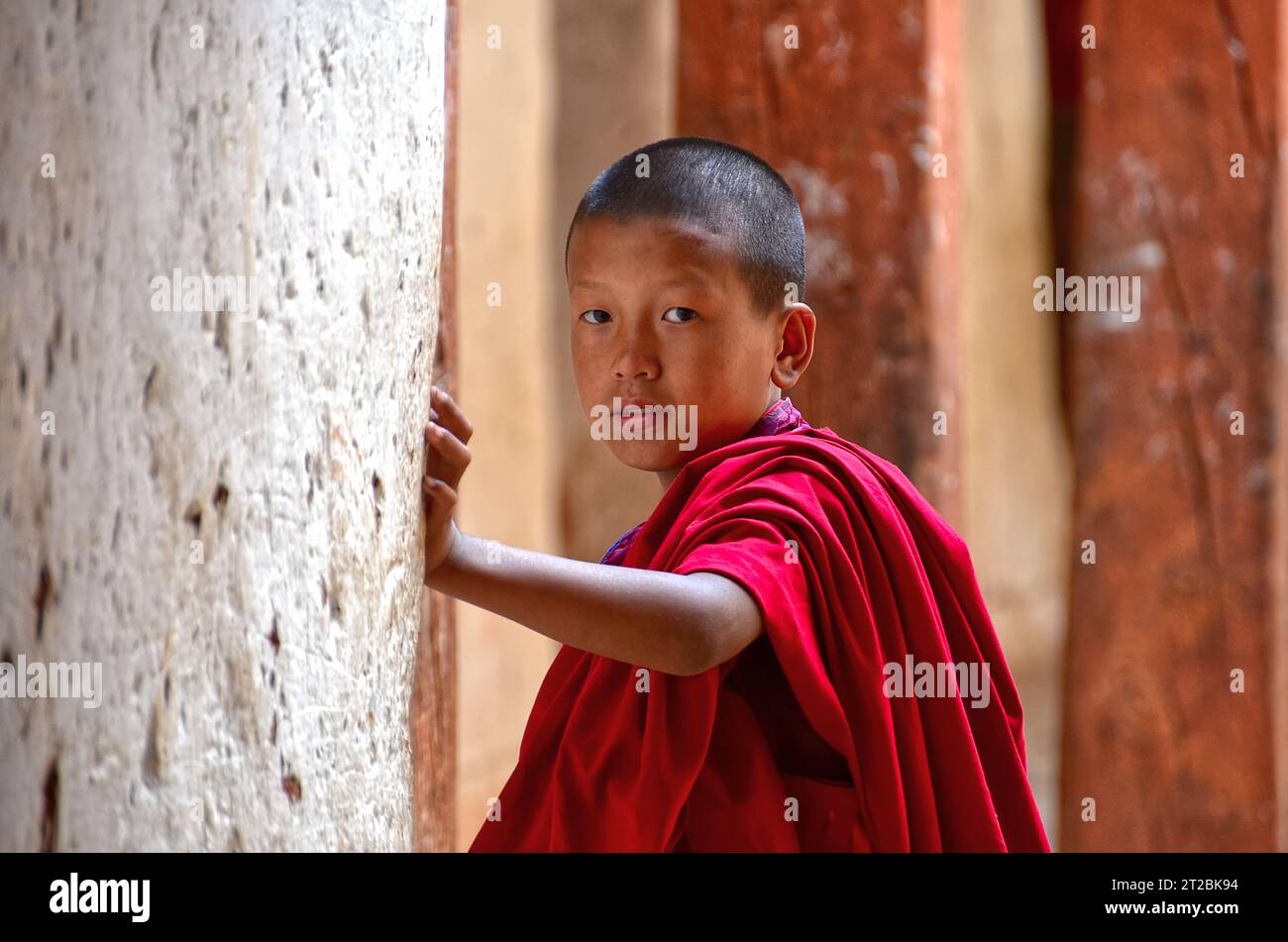 Front view of a young monk in the buddhist monastery looking at the ...