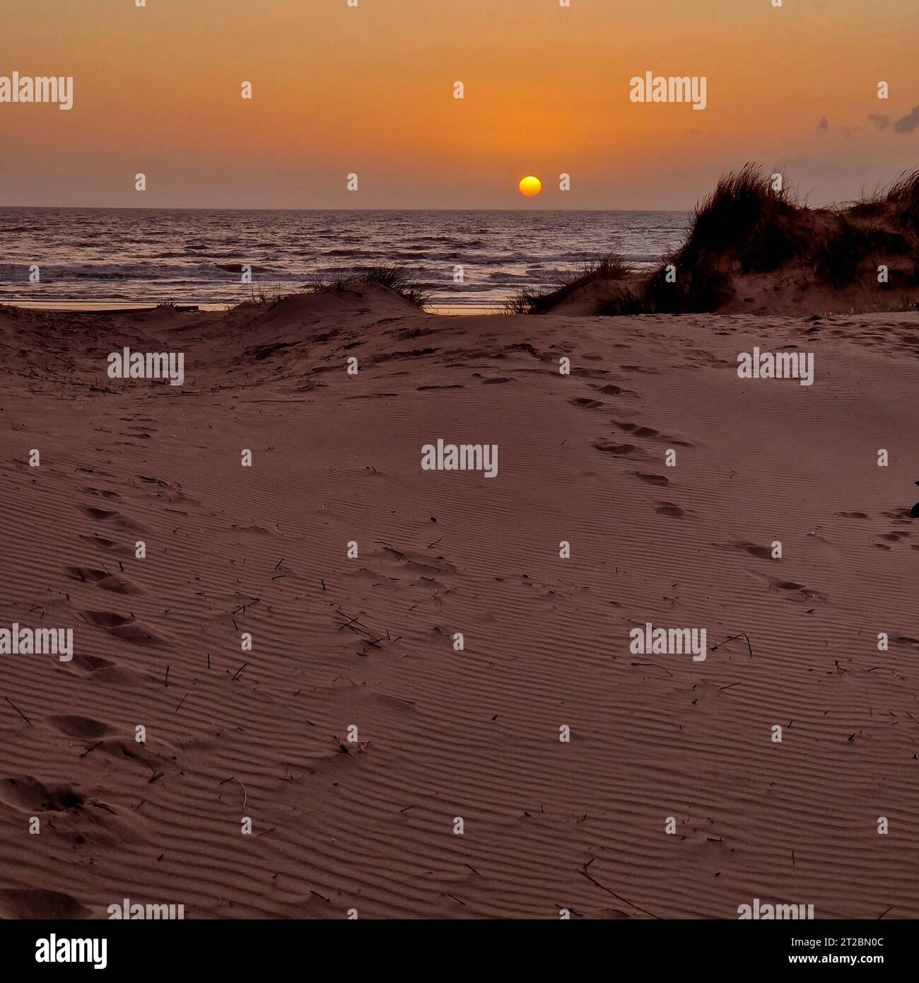 The sun dips below the horizon, casting a golden glow over Formby Beach ...