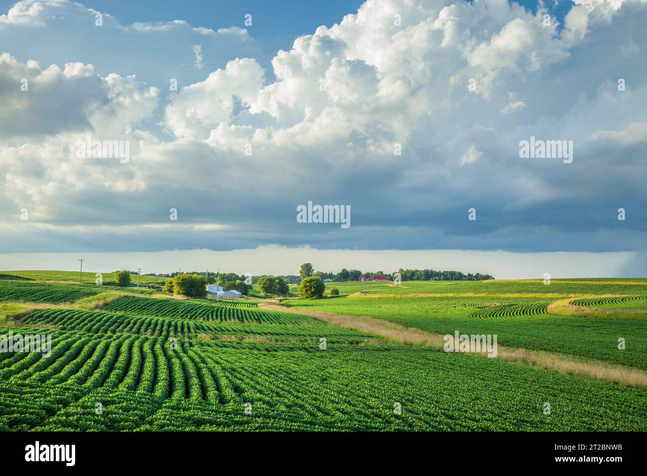 Farm and fields below dramatic clouds during summer in rural Minnesota ...