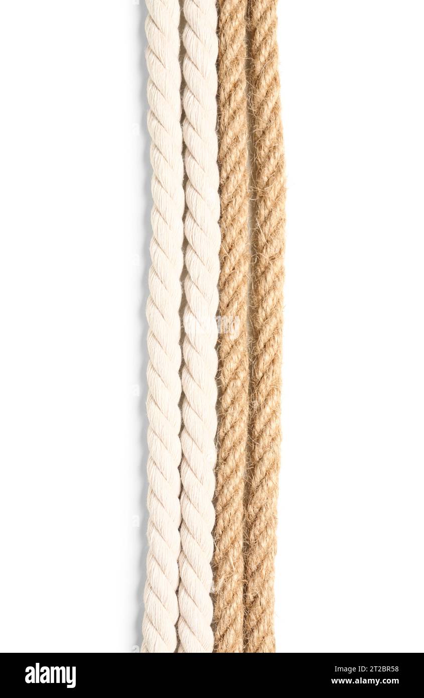 Long ropes on white background Stock Photo - Alamy