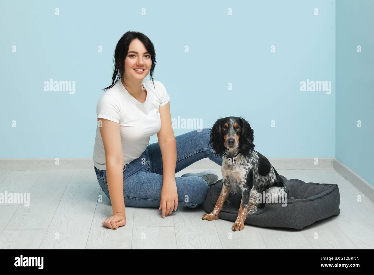 Female owner training her dog at home Stock Photo - Alamy