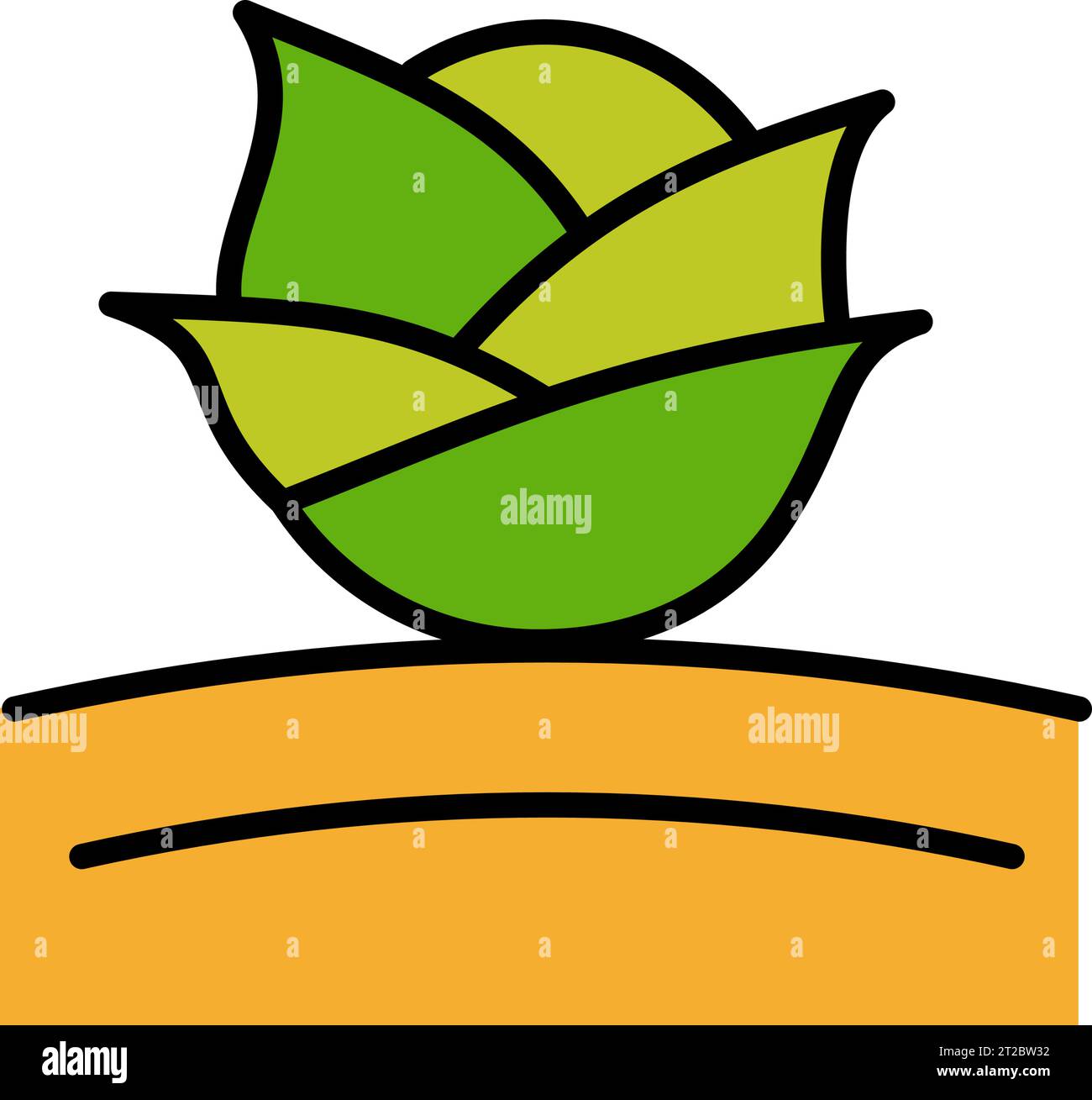 Cabbage icon. Green organic vegetable and food logo. Vegetarian salad ...