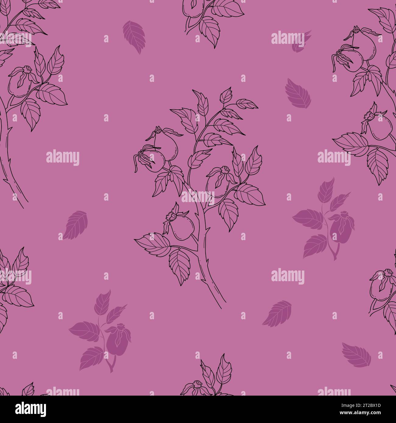 Floral seamless pattern. Rosehip branch on pink background. Vector Illustration. linear hand ...