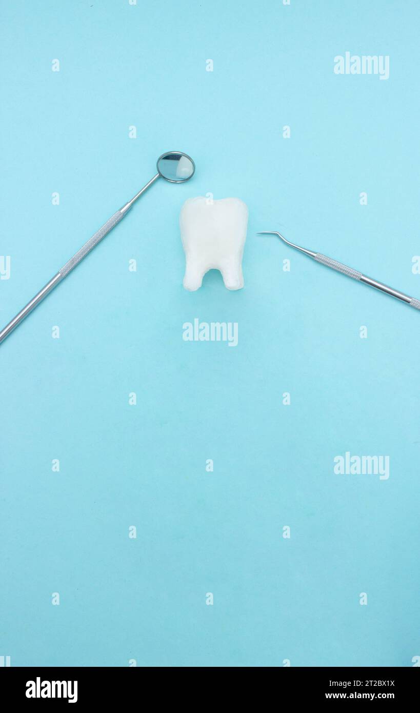 Basic dentist tools with tooth model molar on blue background. Healthy ...