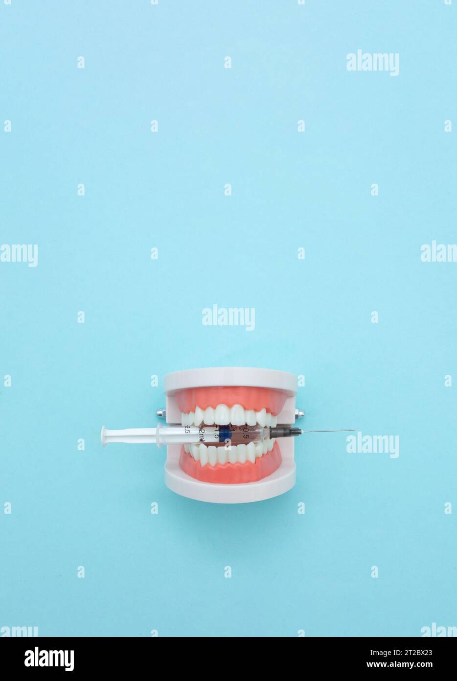 Dental Teeth Model dentures holds dentist Disposable plastic syringe ...