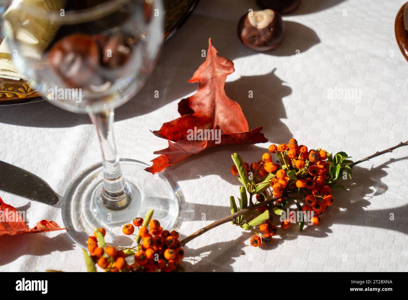 Tea party autumn table hi-res stock photography and images - Alamy