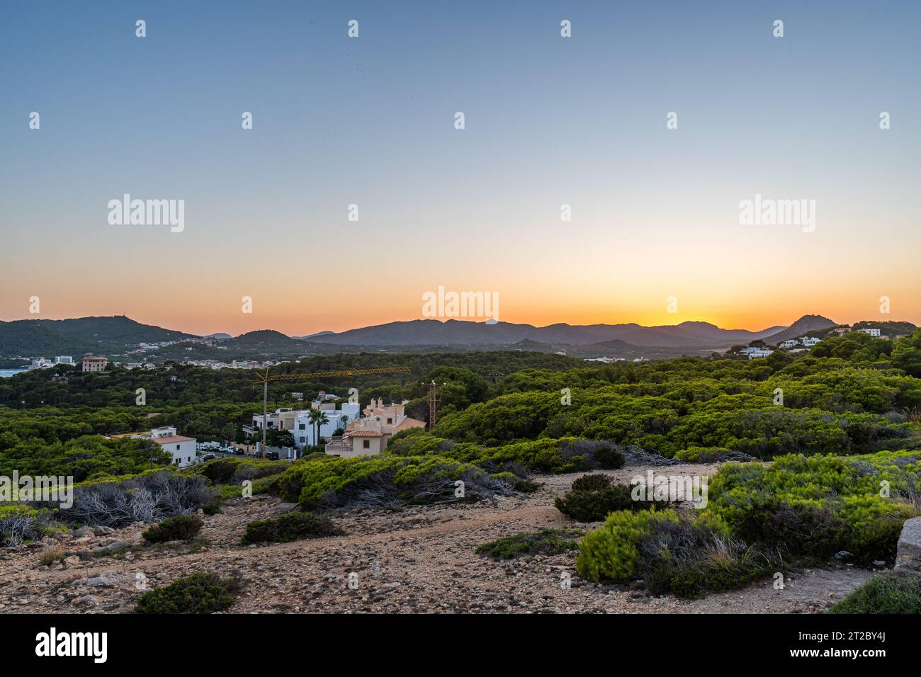 sunset at a wild forest near Christmafry's, a hiking area at cala ...