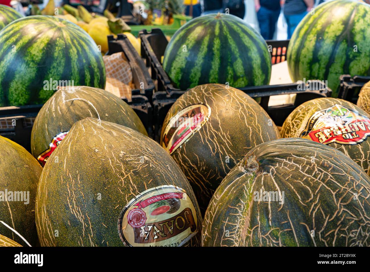 Colourful melons on display at a market stall Stock Photo - Alamy