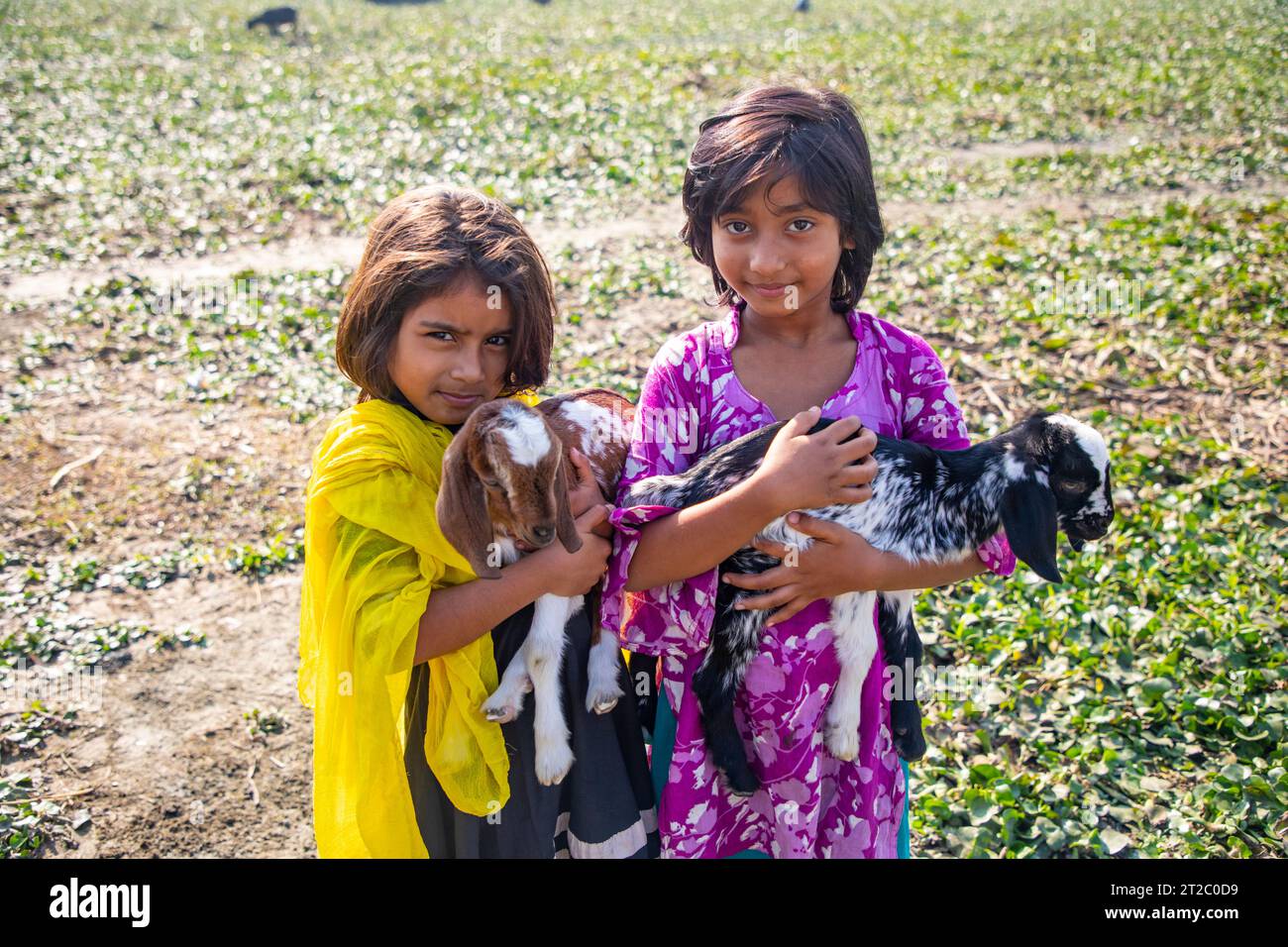 Bangladesh rural girls with their pet goats. Chandpur, Bangladesh Stock ...