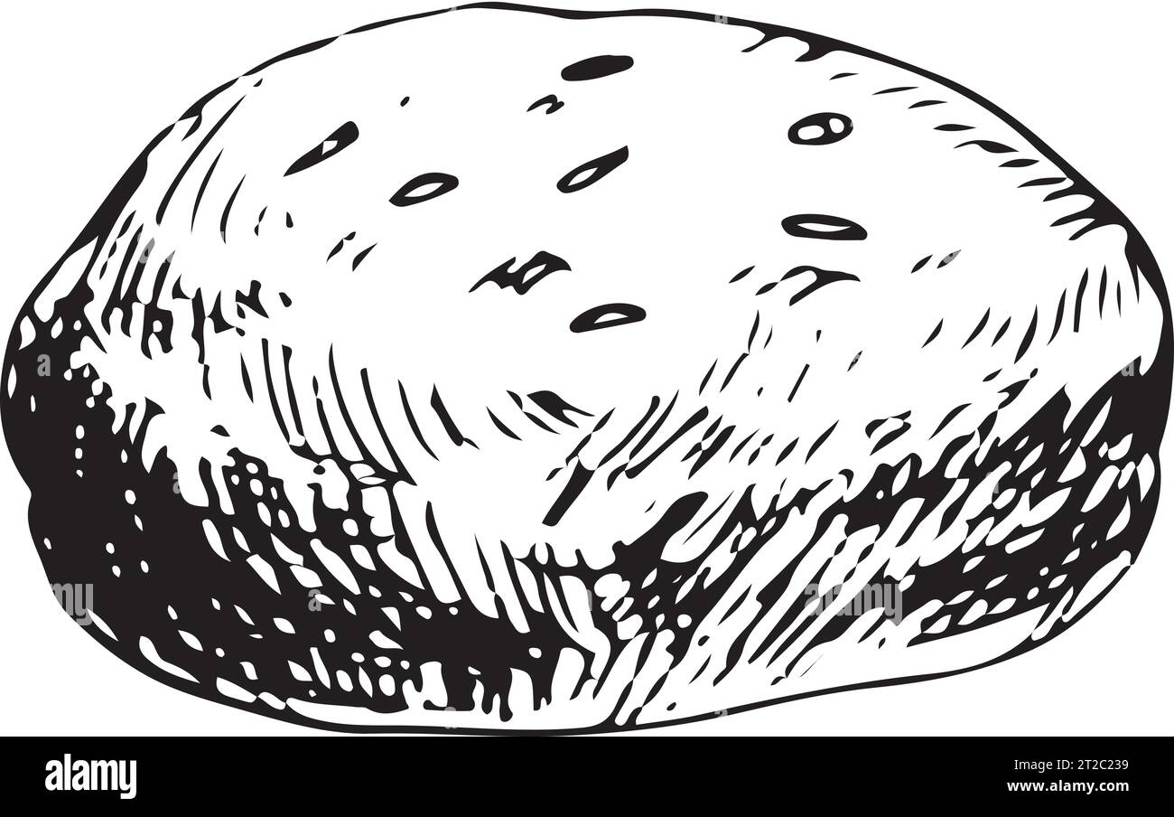 Vector graphic illustration of bun with seeds . Black and white sketch ...