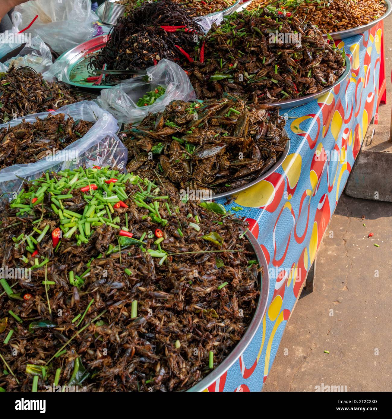 Spider Market at Skun, Cambodia Stock Photo - Alamy