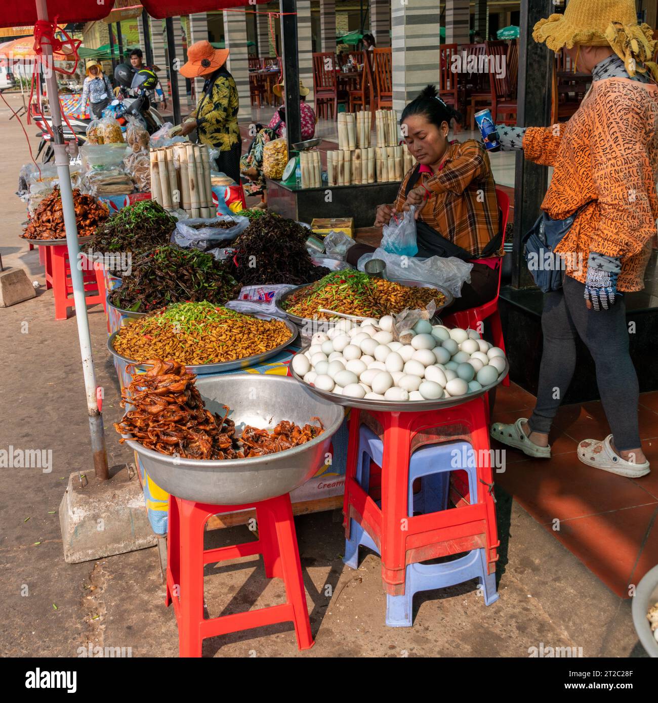 Spider Market at Skun, Cambodia Stock Photo - Alamy