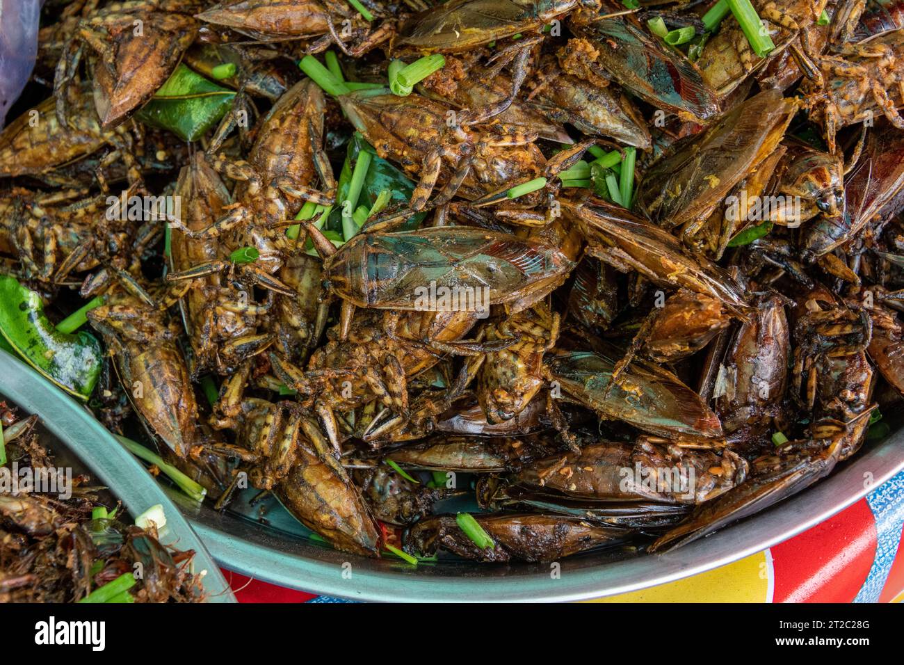 Spider Market at Skun, Cambodia Stock Photo - Alamy