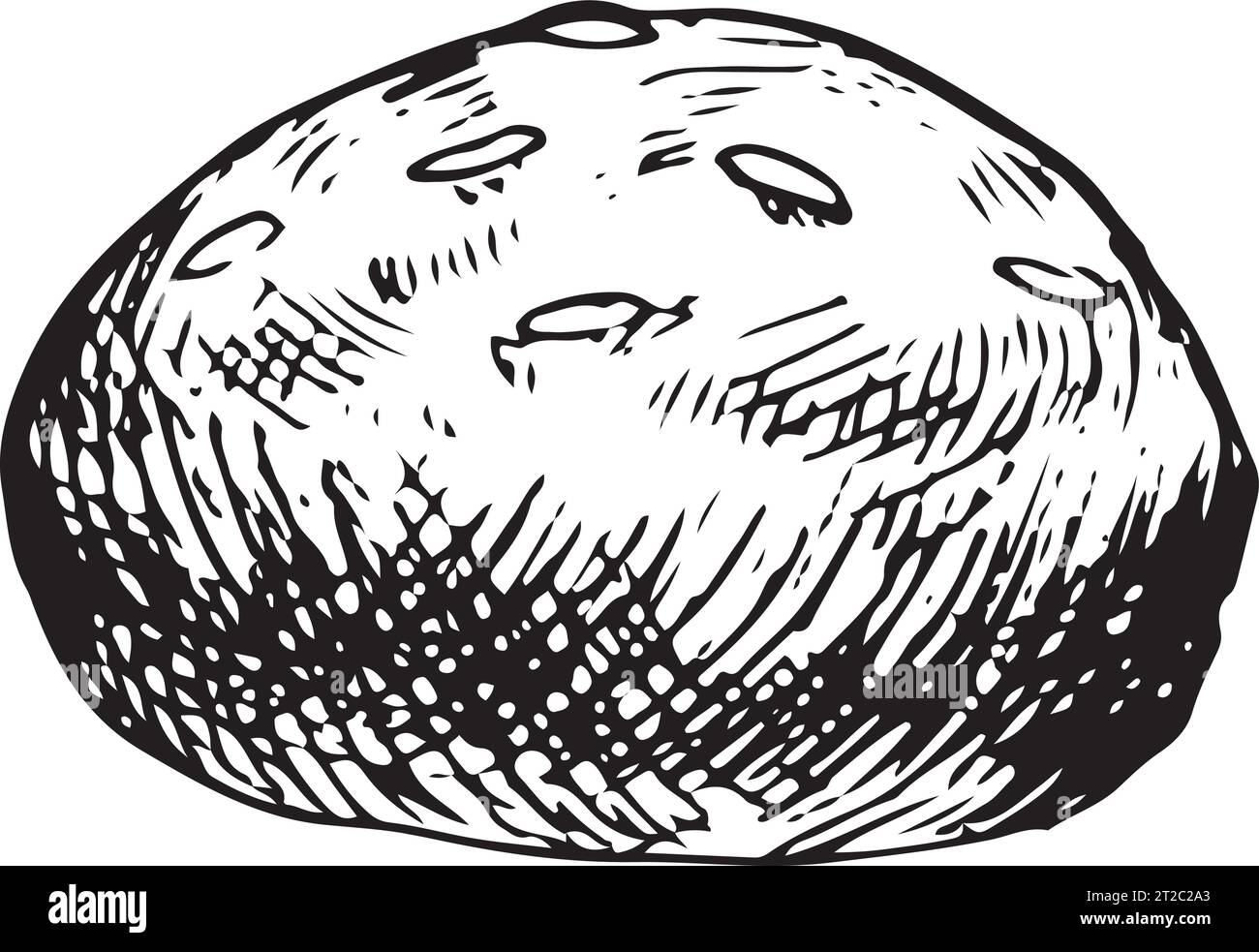 Vector graphic illustration of bun with seeds . Black and white sketch ...
