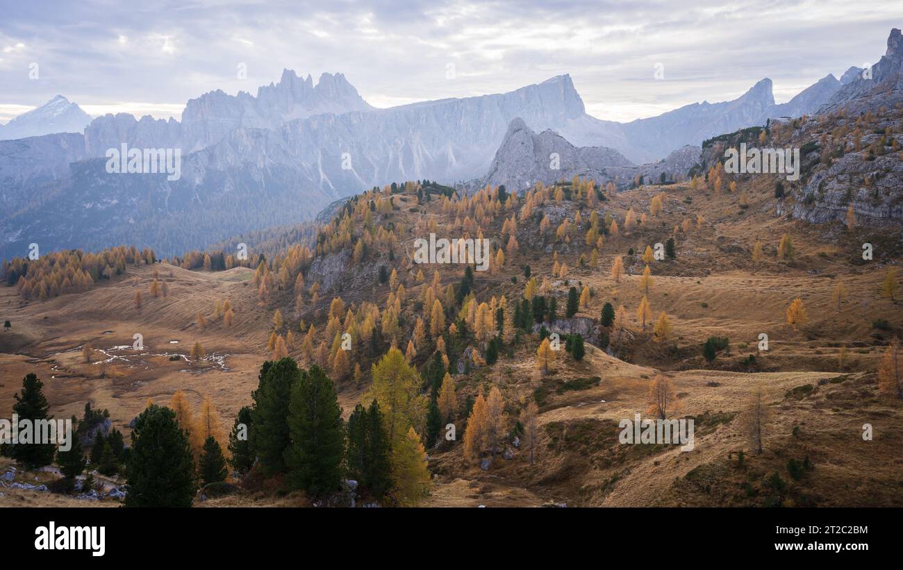 Alpine landscape during fall with golden larches and sharp mountains in ...