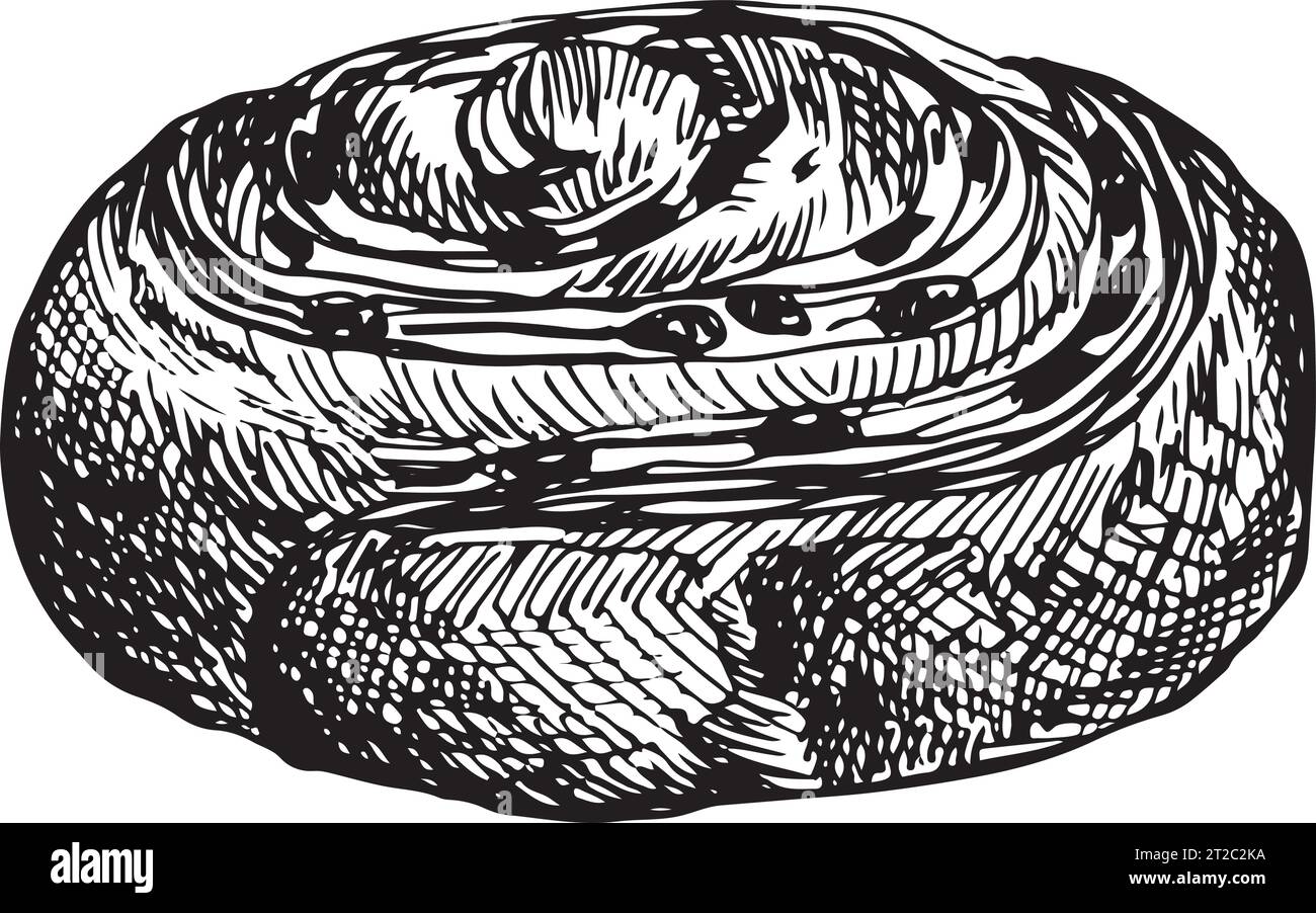 Vector graphic illustration of chelsea bun . Black and white sketch on ...