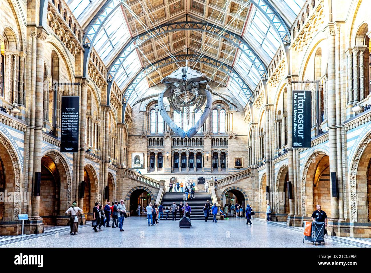 Interior Of The Natural History Museum London Uk Stock Photo Alamy