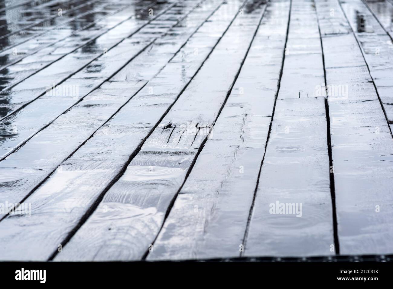 wet boards of a wooden sidewalk during the rain Stock Photo - Alamy