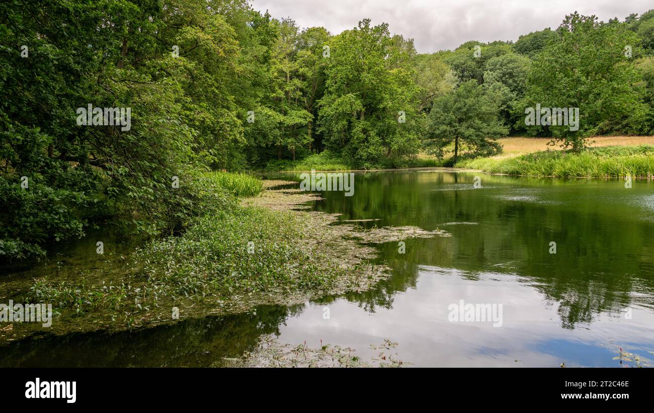 Hodnet shropshire england hi-res stock photography and images - Alamy