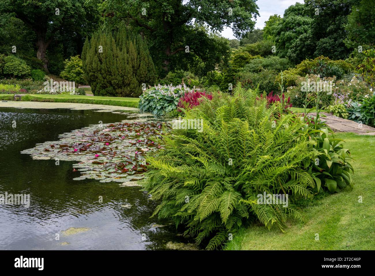 Hodnet shropshire england hi-res stock photography and images - Alamy