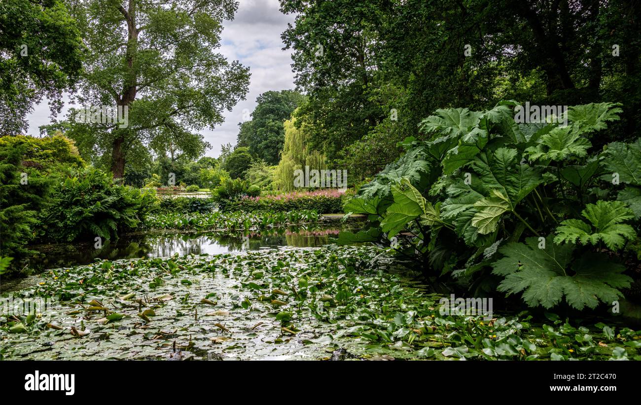 Hodnet shropshire england hi-res stock photography and images - Alamy