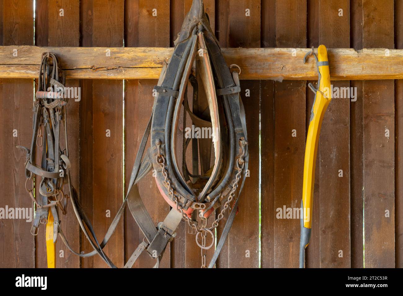 Old country farm, Moravska Nova Ves, Southern Moravia, Czech Republic ...